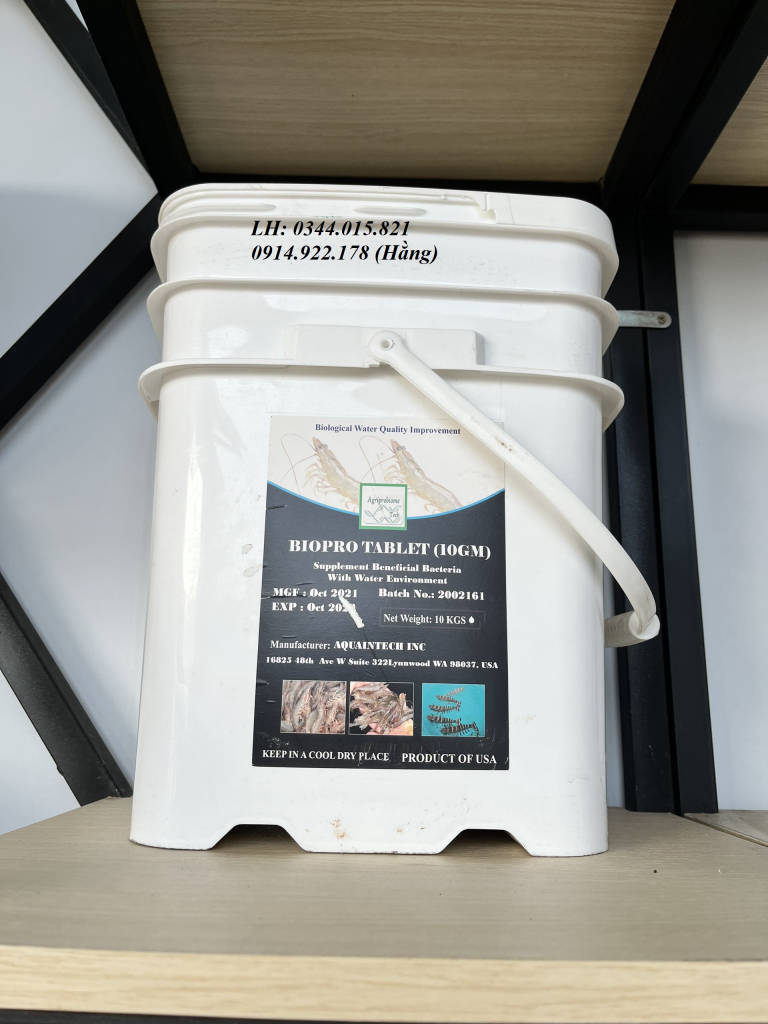 Men vi sinh dạng viên xử lý nước và đáy Biopro Tablet | WebRaoVat ...